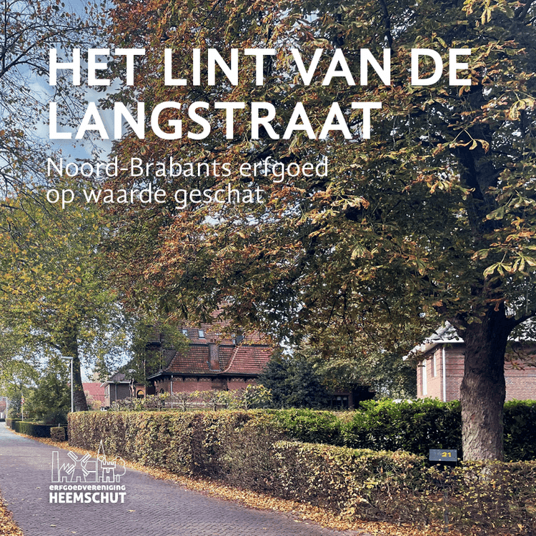 Het lint van de Langstraat in beeld
